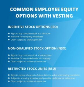 Stock Vesting (Types of vesting schedules) | Eqvista