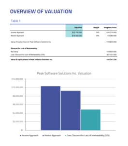 409a Valuation Report - Sample & Example | Eqvista