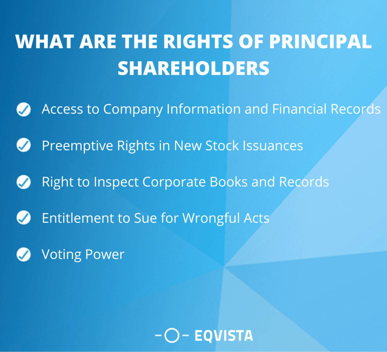 Principal Shareholders - Overview of privileges and rights | Eqvista