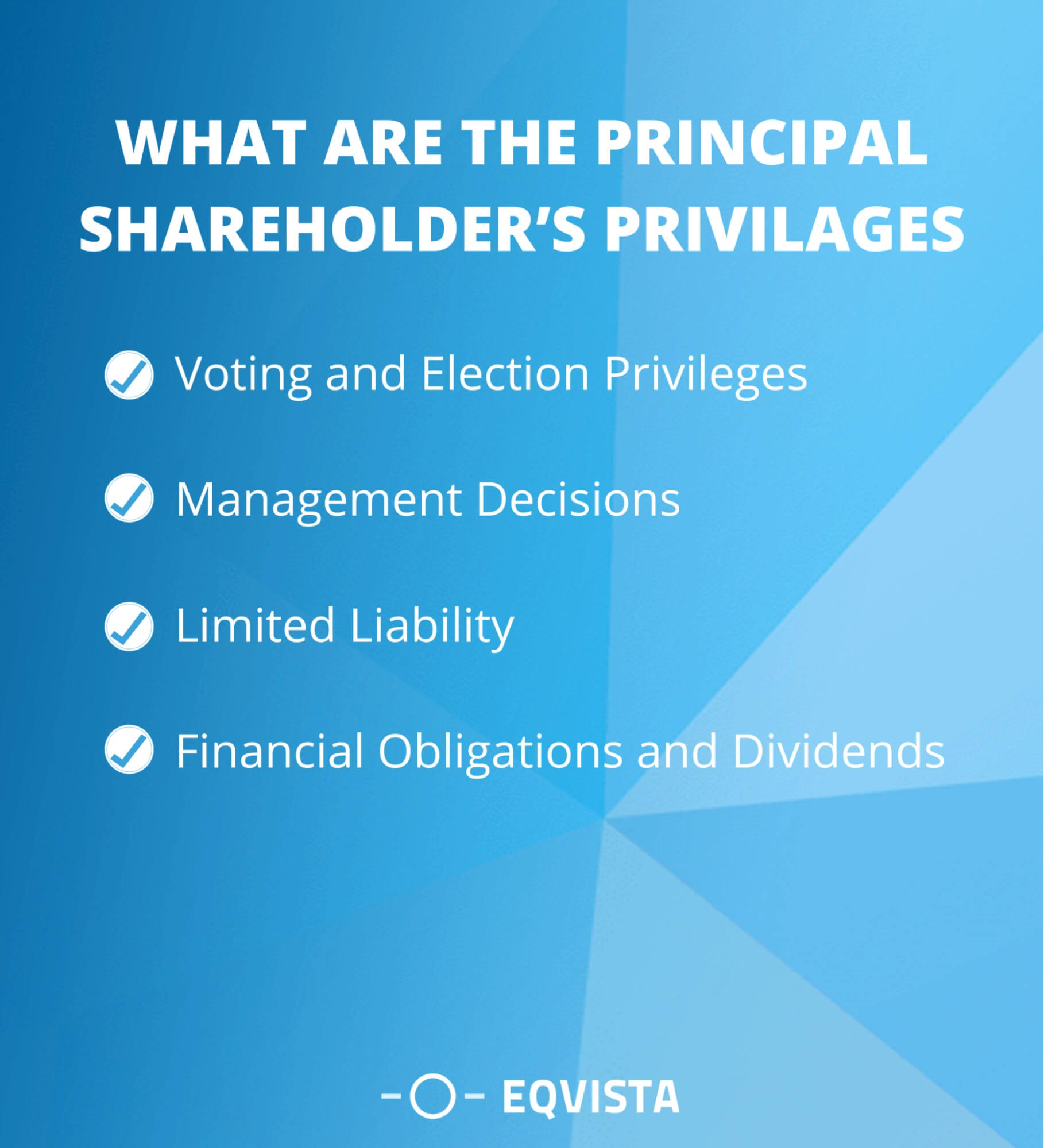 Principal Shareholders - Overview of privileges and rights | Eqvista