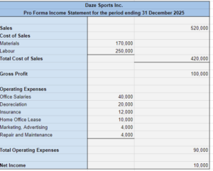 How to Create a Pro Forma Statement? | Eqvista