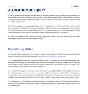 409A Valuation Report Example (Sample PDF Included) | Eqvista