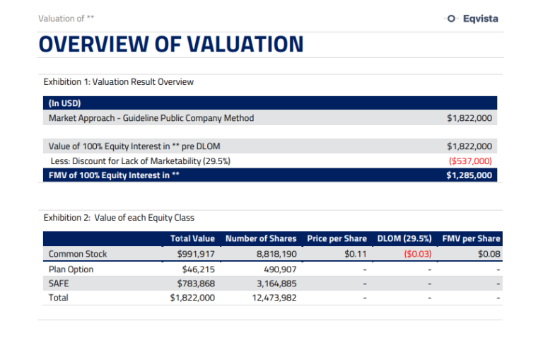 409A Valuation Report Example (Sample PDF Included) | Eqvista