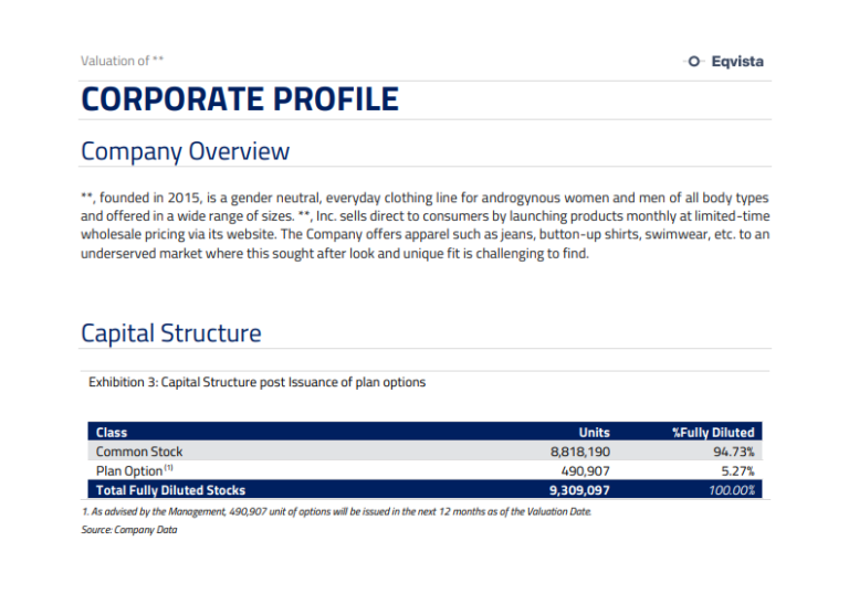 409A Valuation Report Example (Sample PDF Included) | Eqvista