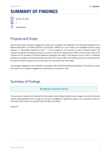 409A Valuation Report Example (Sample PDF Included) | Eqvista